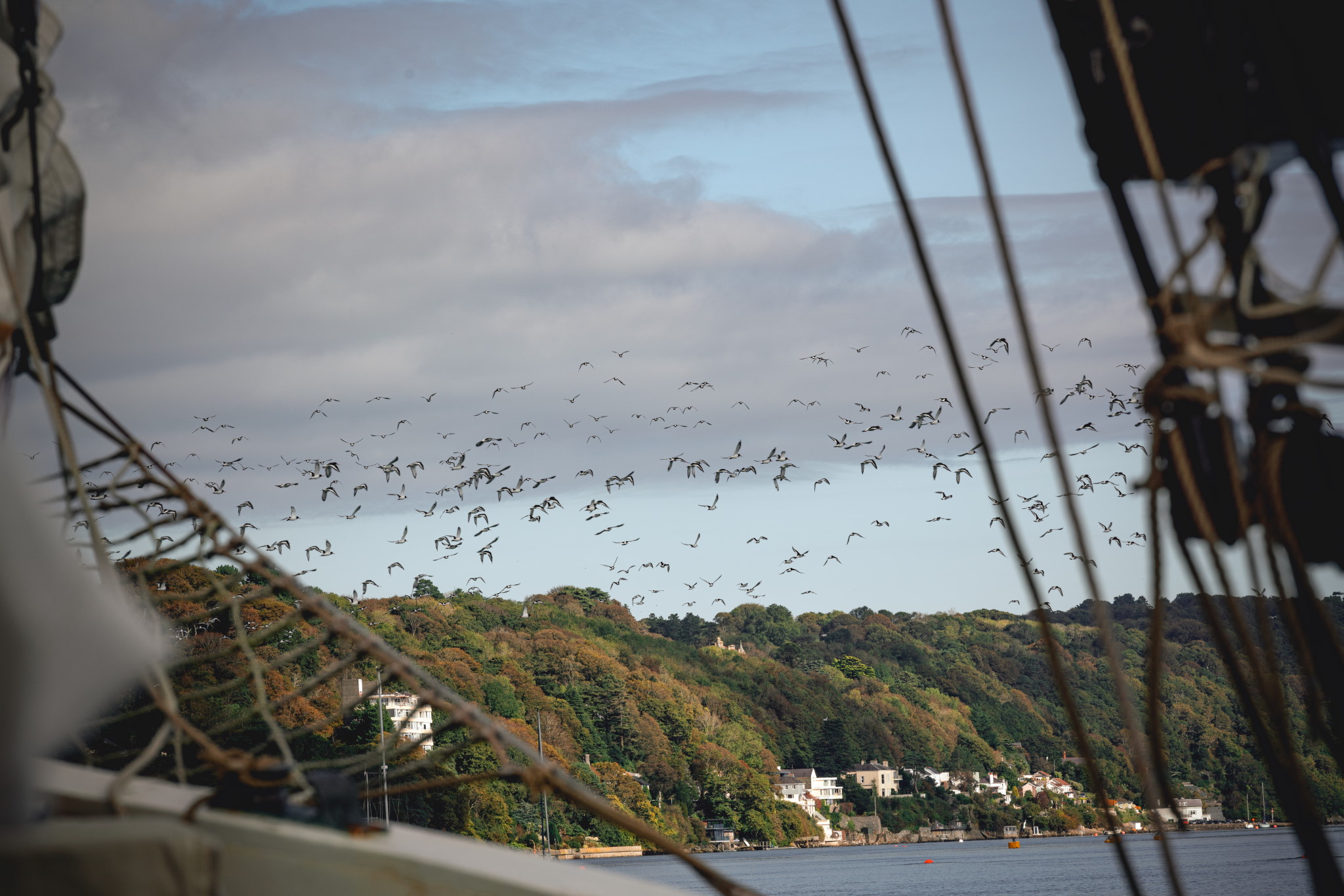Gallery – Anglesey Traditional Sail