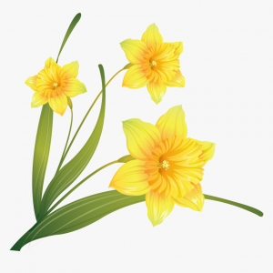 Sunday 19th March 2023 – the 4th Sunday of Lent (Mothering Sunday) – St ...